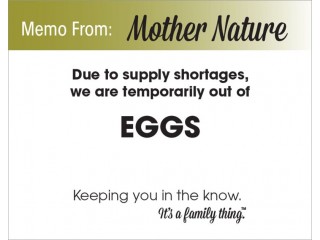 Eggs Shortage - PDF - Alphabet Soup, Inc